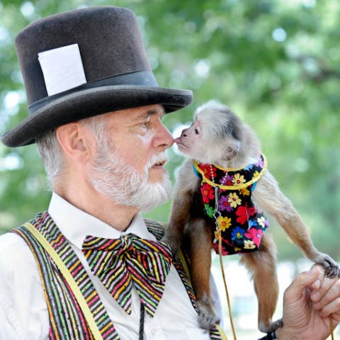 Who are the Real Monkeys? An Introspective on Human Relations with ...